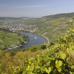 6 Best Kinheim Hotels, Germany (From $68)