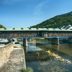 Die 10 besten Hotels in Plewen, Bulgarien (Ab € 20)