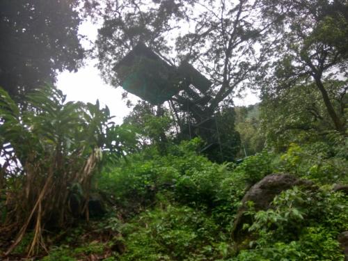 The 10 Best Wayanad Farmhouses – Ranches and Farm Stays in Wayanad ...