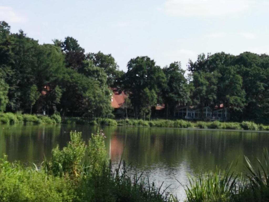 Emsland Hotel Saller See (Duitsland Freren) - Booking.com