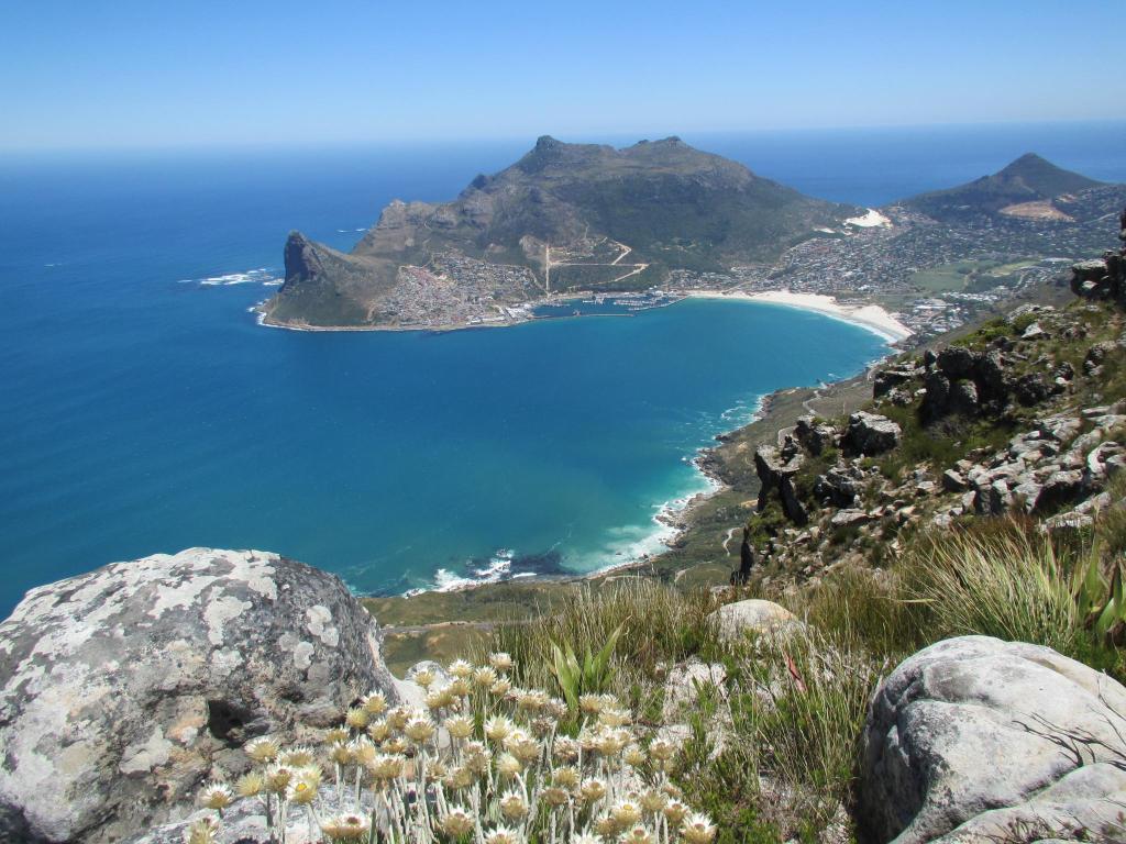 Monkey Valley Resort, Noordhoek, South Africa - Booking.com