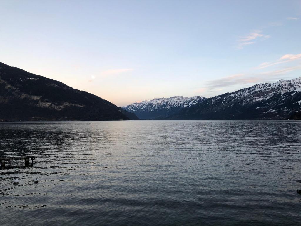 Strandhotel Seeblick (Schweiz Faulensee) - Booking.com