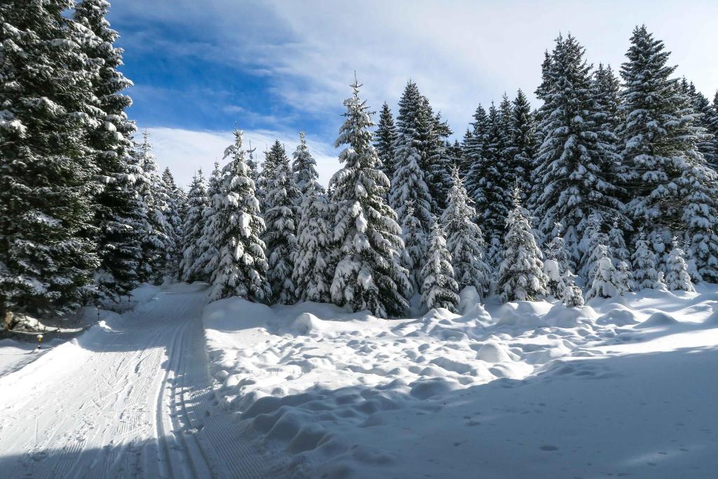 Inselhotel Faakersee (Österreich Faak am See) - Booking.com