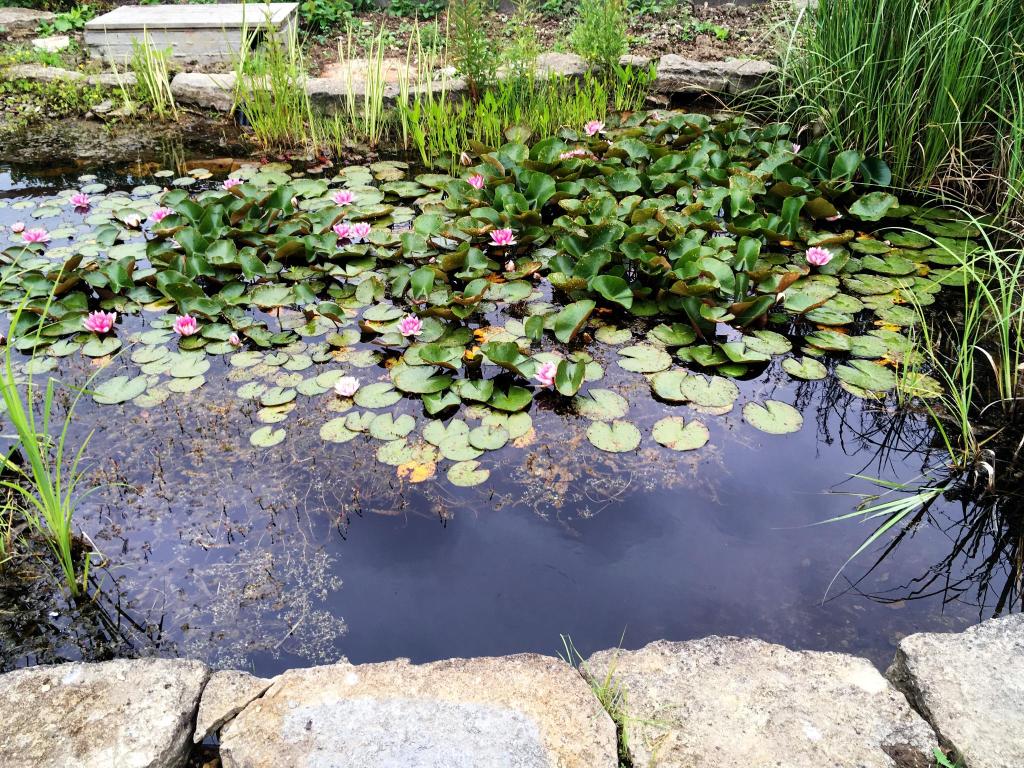 The Anchor Inn, Lower Froyle, UK - Booking.com