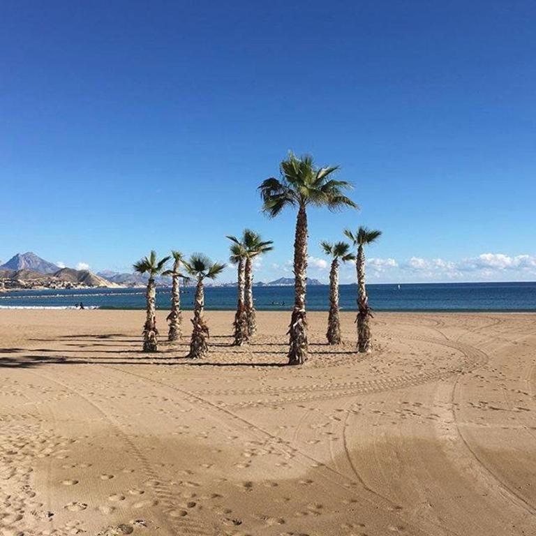 Camping Costa Blanca, El Campello, Spain - Booking.com