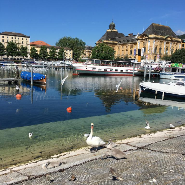 Hotel Palafitte, Neuchâtel, Switzerland - Booking.com