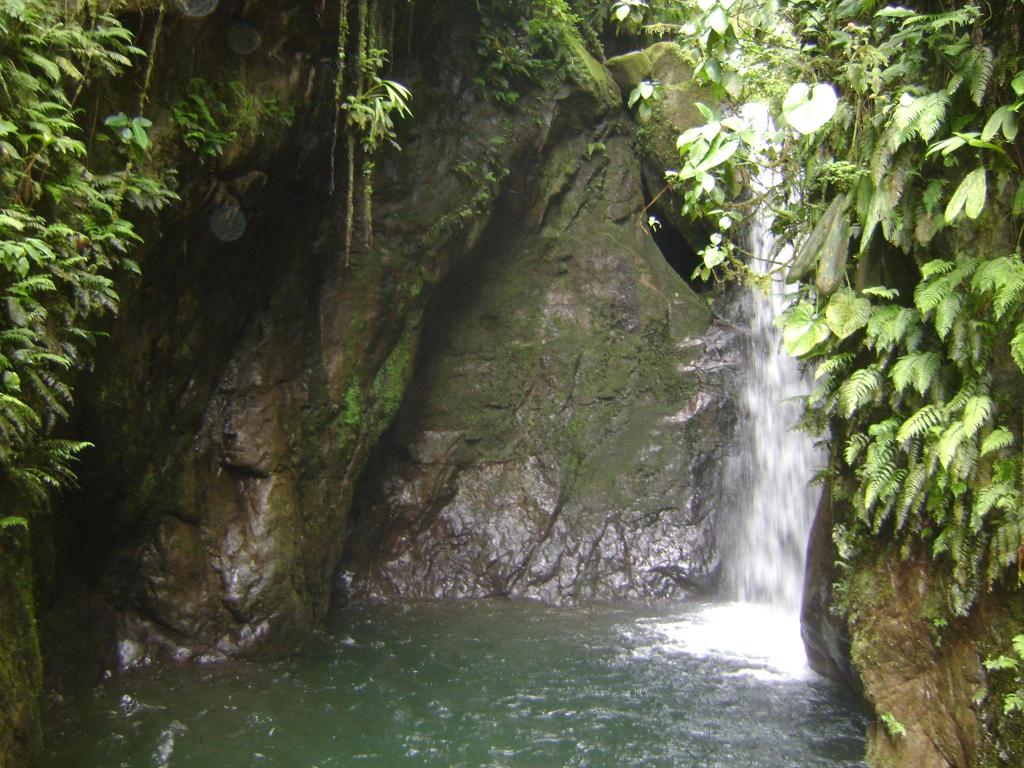 Mindo Lago, Mindo – Precios actualizados 2018