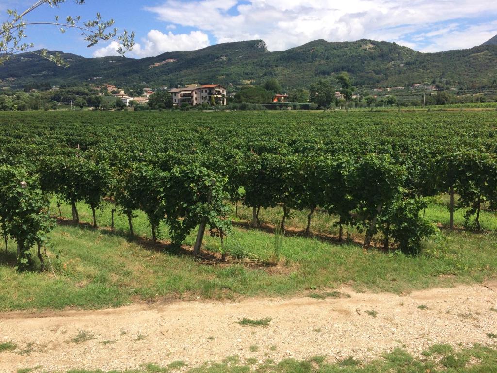 Hotel Corte Dei Fiori, Caprino Veronese, Italy - Booking.com